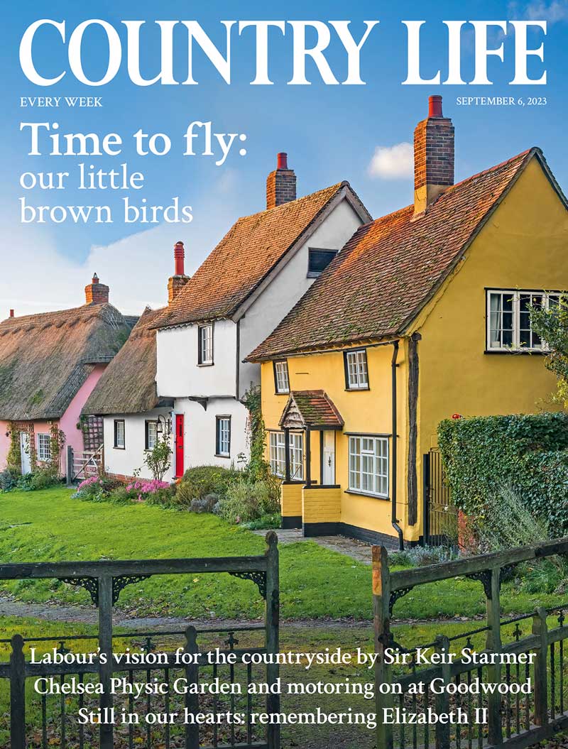 Country Life Readership Profile – DJH Advertising